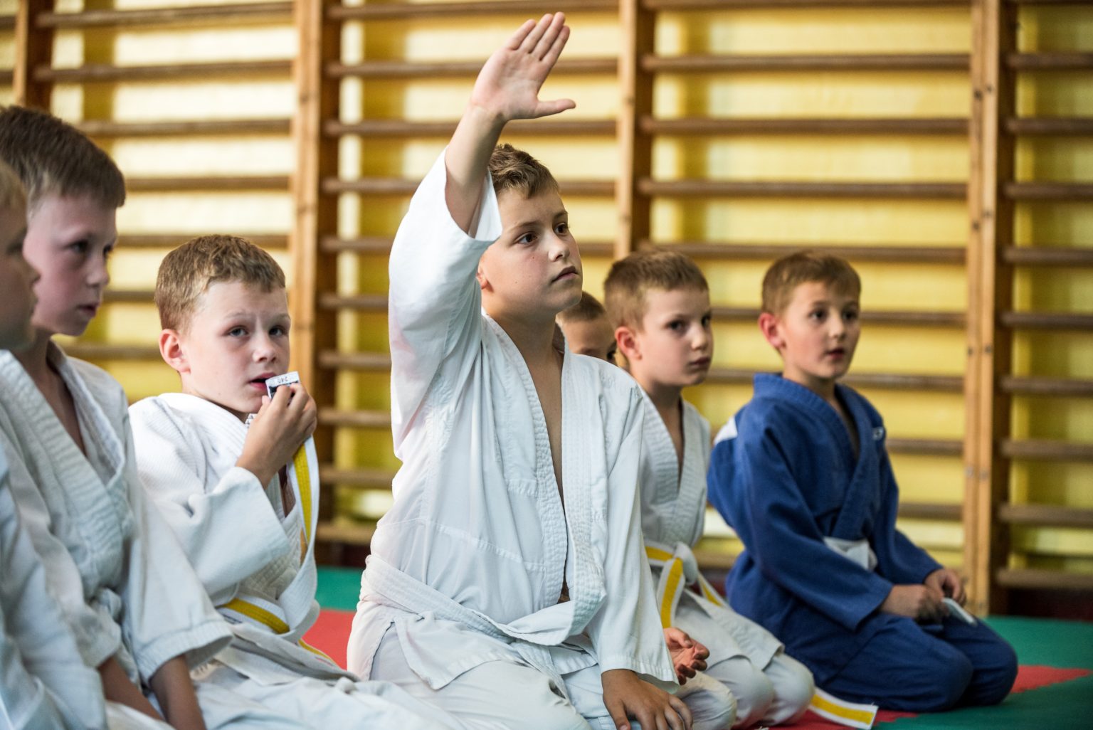 Jak wygląda pierwszy trening judo dzieci? | Judo Tigers
